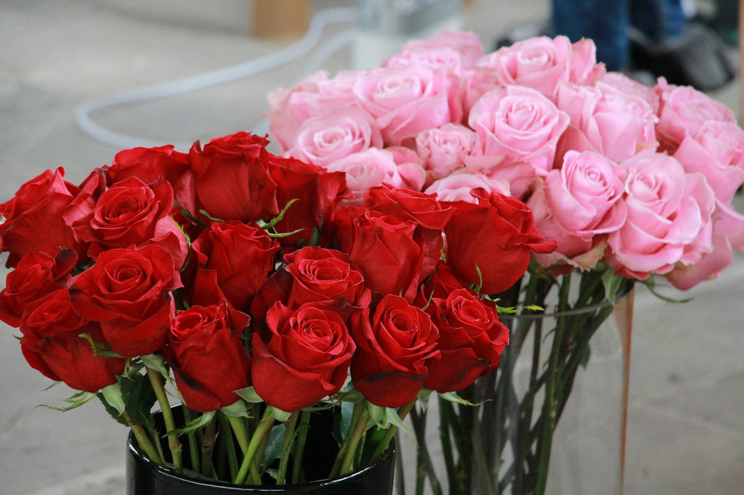 Why Do Roses Cost so Much? | Affordable Wholesale Flowers