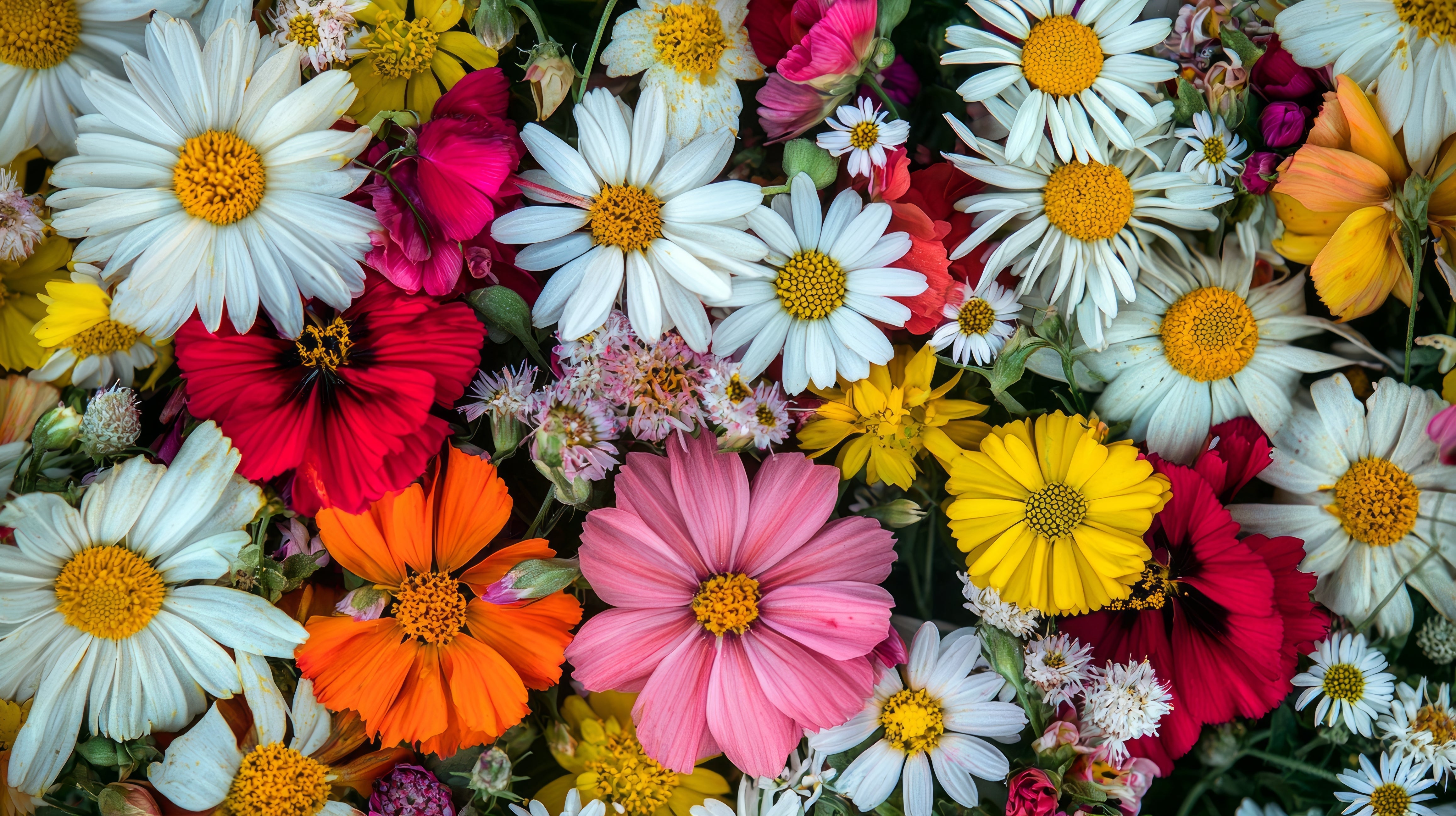 The Ultimate Flower Buying Checklist for Bulk Orders