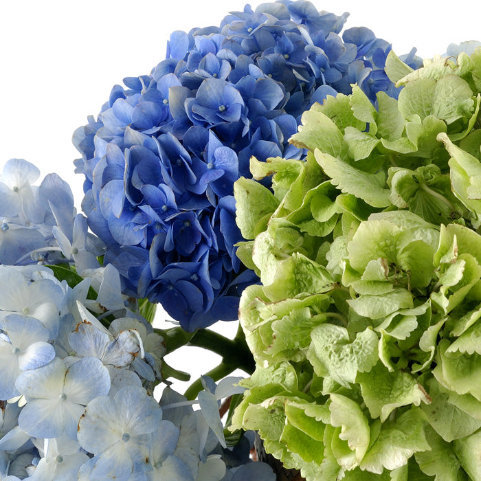 Wholesale Flowers Online - Bulk Flowers for Events